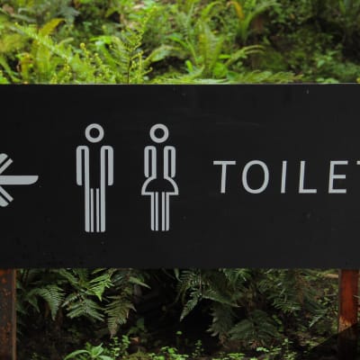Learn about Composting Toilet