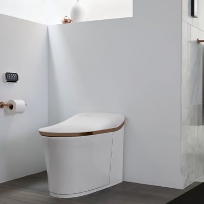 Learn about Low-Flush Toilet