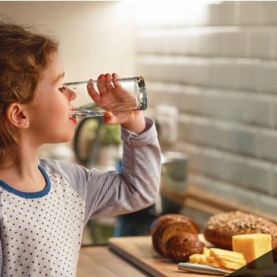 Learn about Whole Home Water Filter