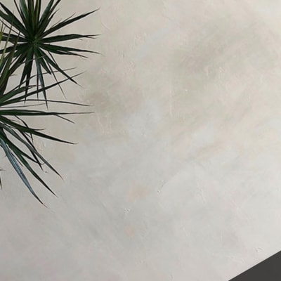 Learn about Tadelakt Plaster