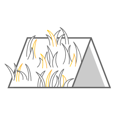 Learn about Green Roof - Extensive