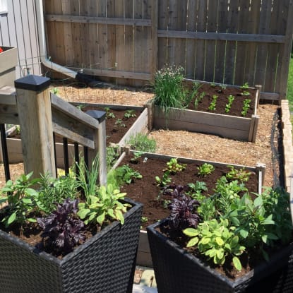 Front Elevation with Outdoor Gardens by Naikoon Contracting