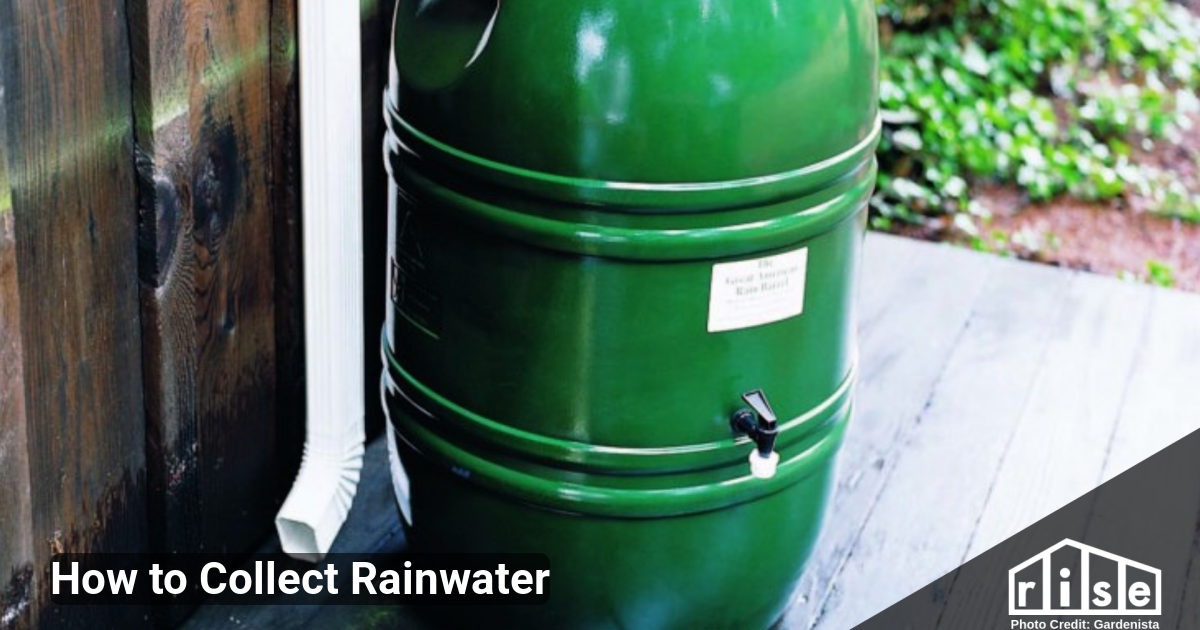 How to Collect Rainwater