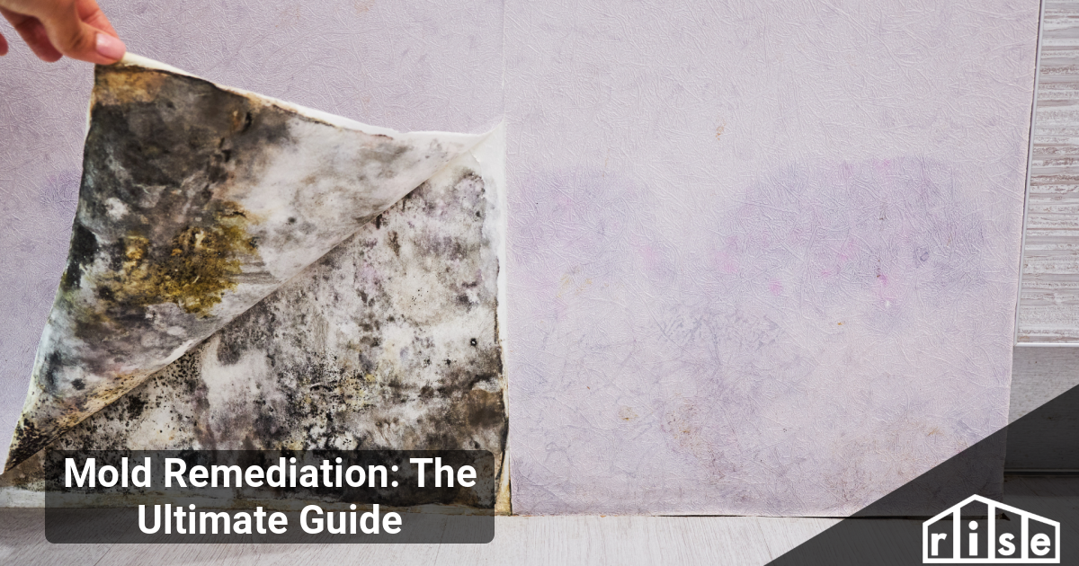 Mold Remediation: The Ultimate Guide