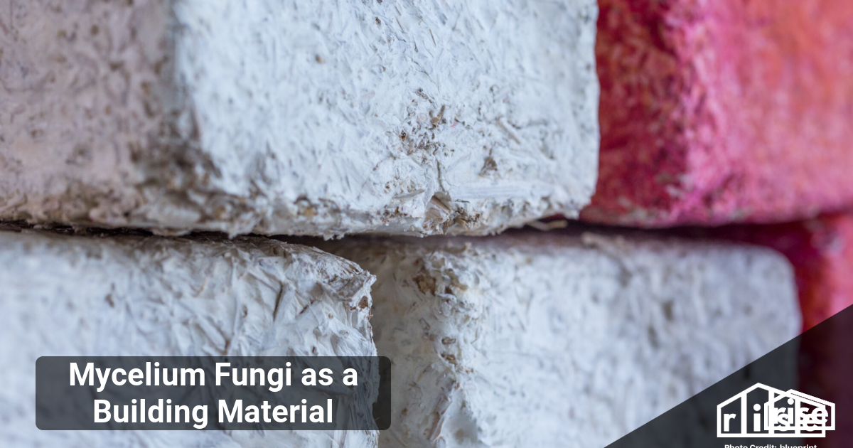 Mycelium Fungi as a Building Material