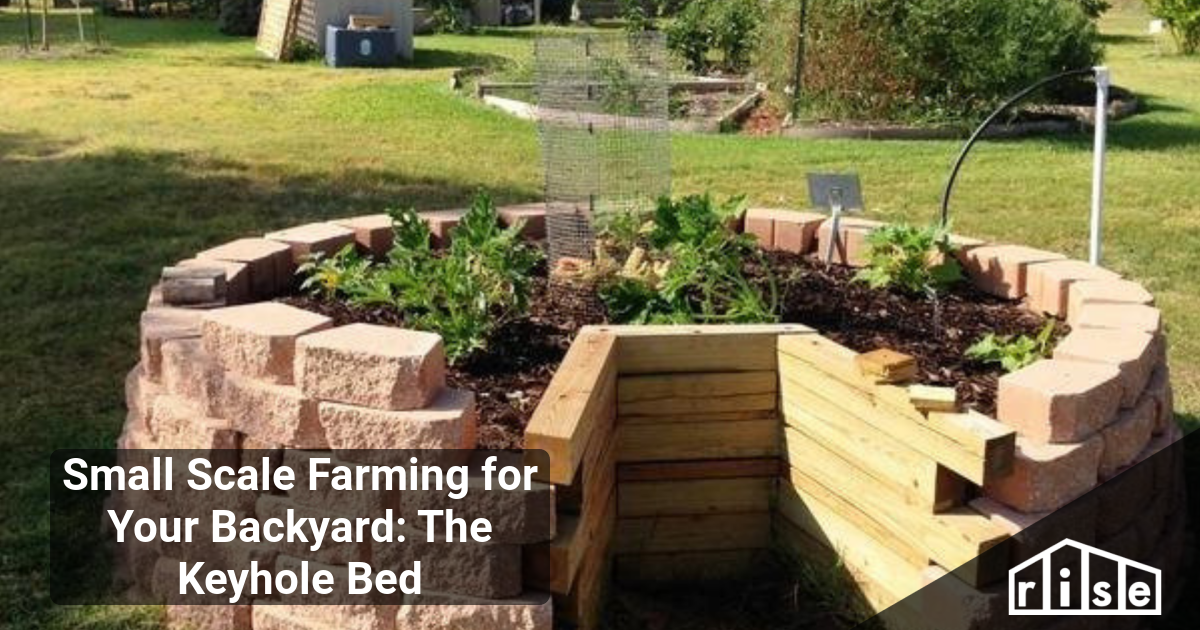 Small Scale Farming for Your Backyard: The Keyhole Bed