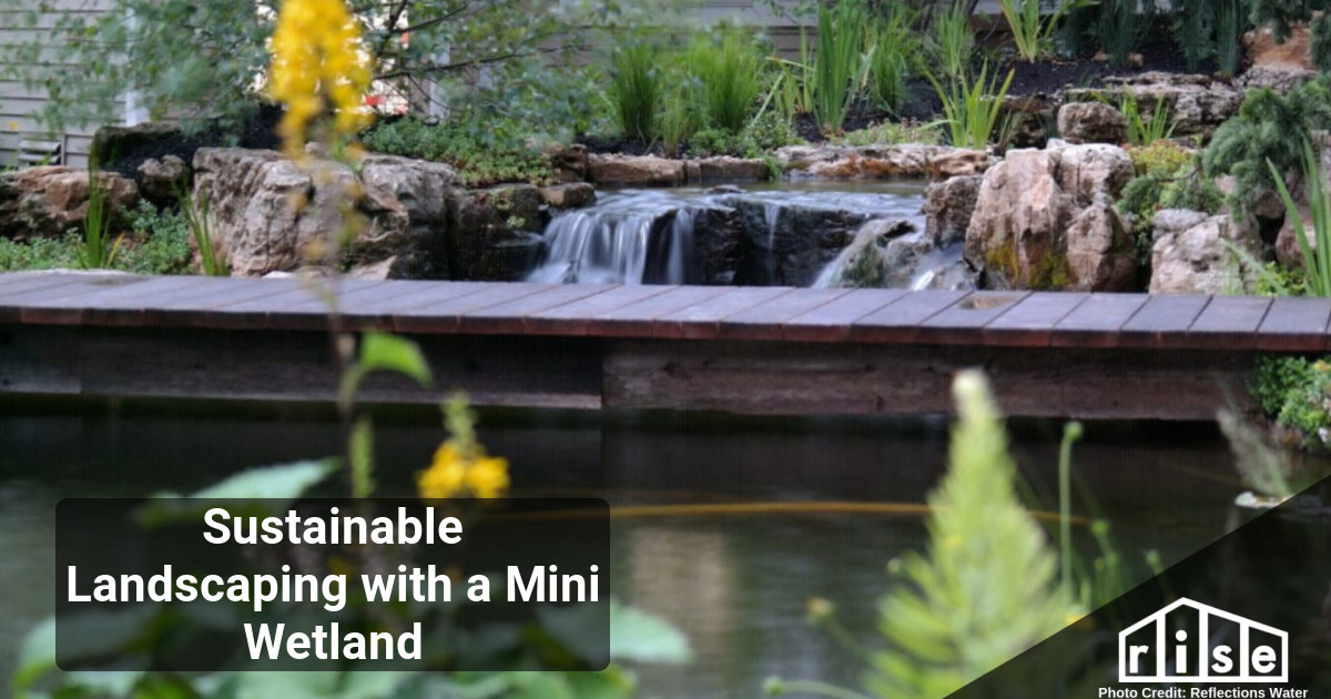 Sustainable Landscaping with a Mini Wetland