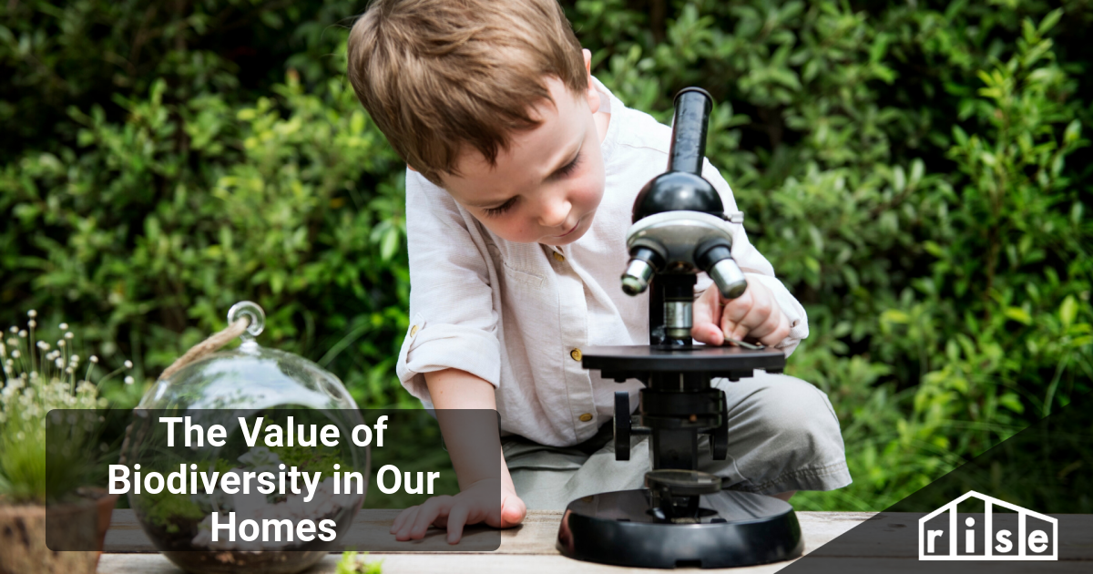 The Value of Biodiversity in Our Homes