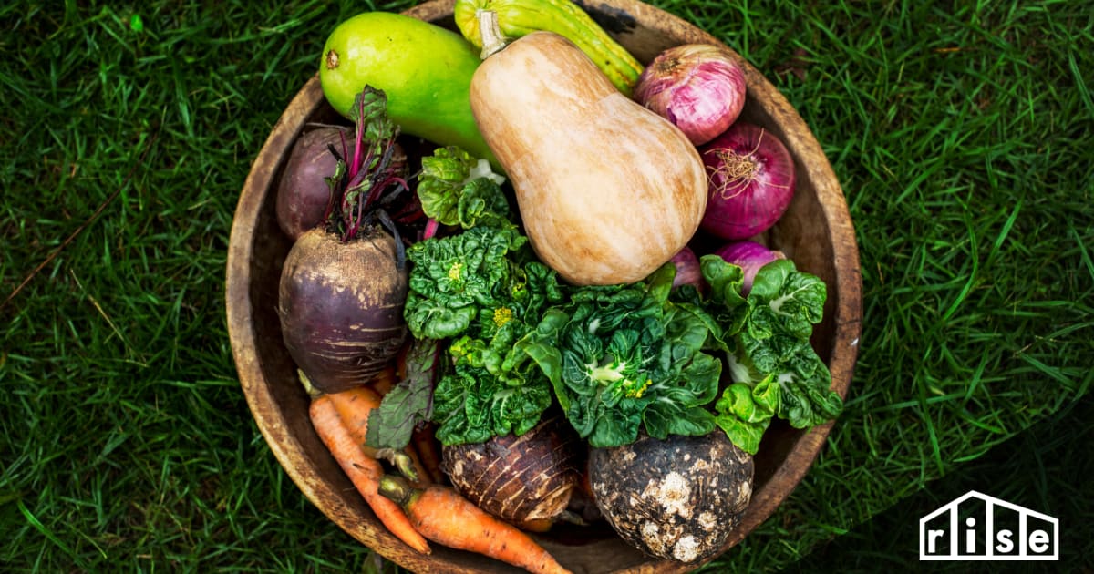 Spring Prep for Veggie Gardens at Home