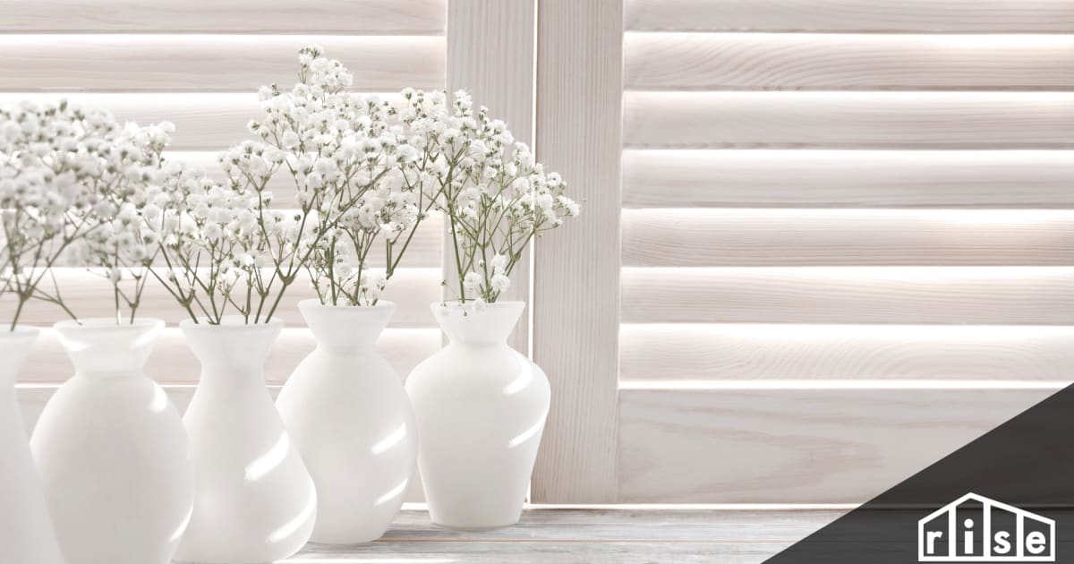 Window Shades: Everything You Need to Know