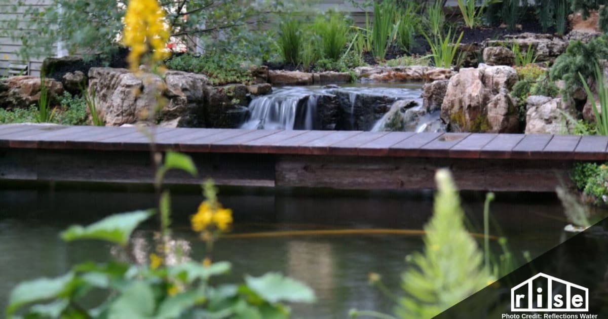 Sustainable Landscaping with a Mini Wetland