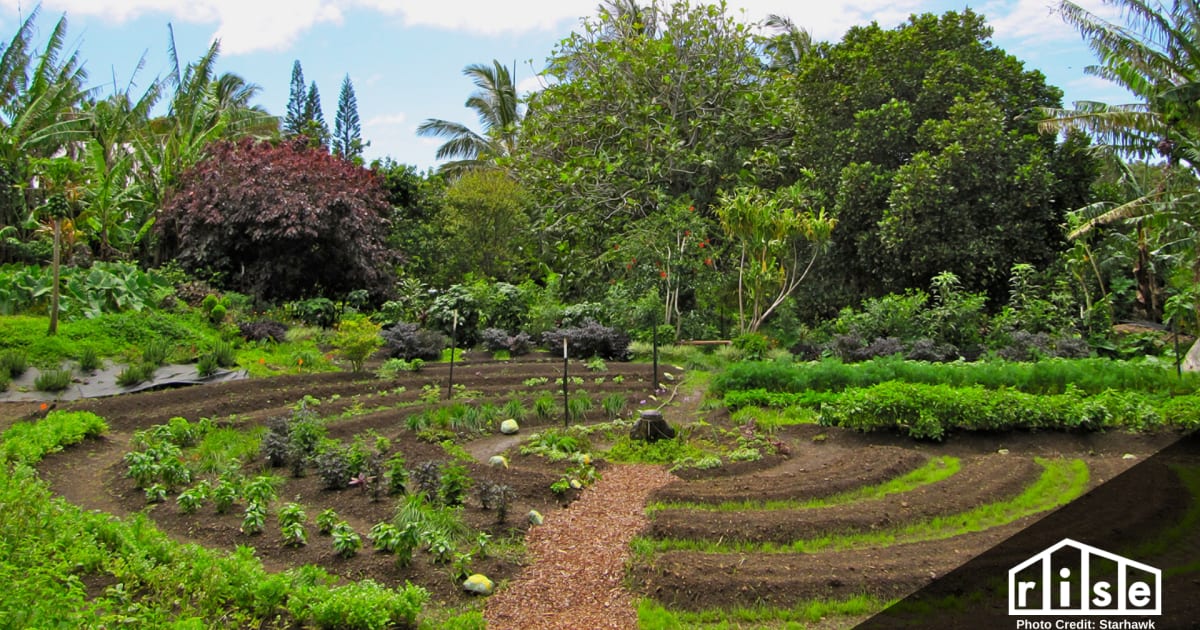 Using Permaculture Design to Analyze Your Property
