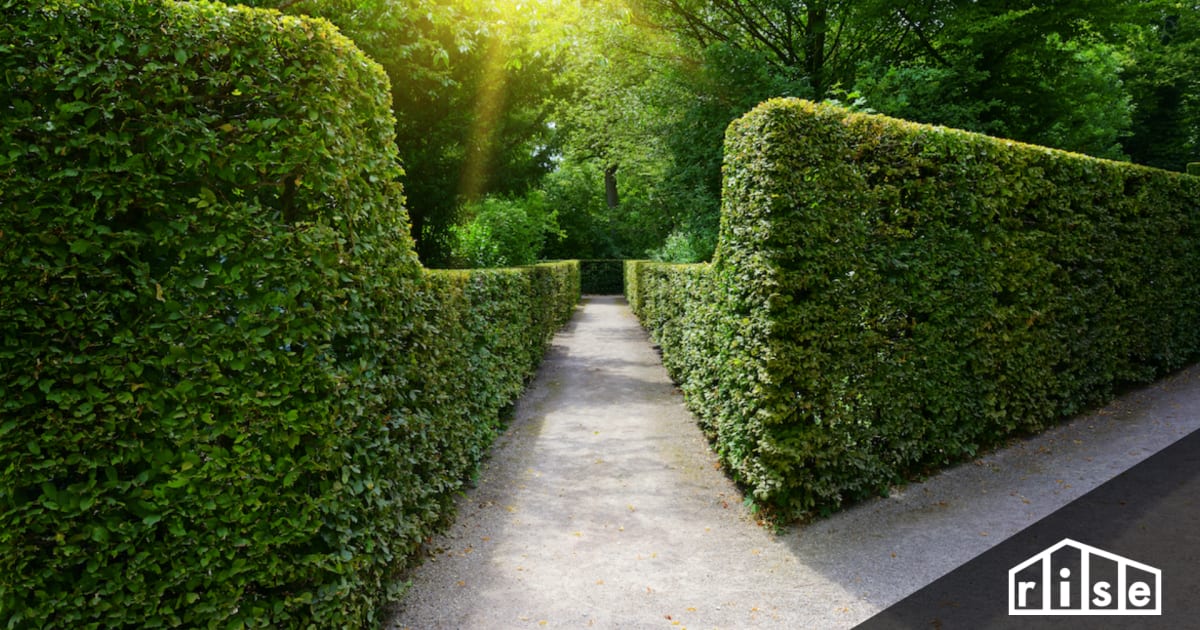 35. The Role of Hedges and Shrubs in Fence Integration - fence