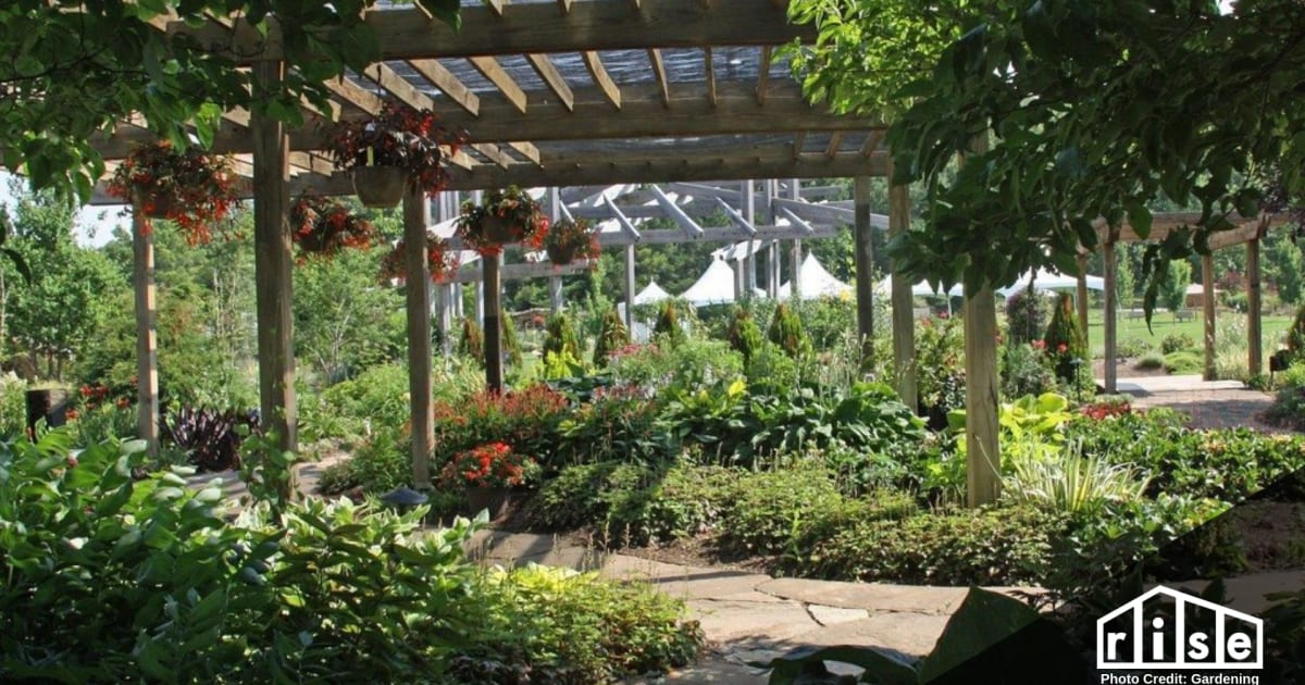 Sun Requirements For Plants: A Complete Guide