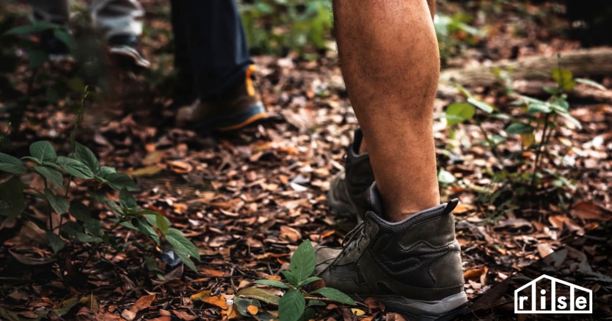 How to Reduce Your Ecological Footprint