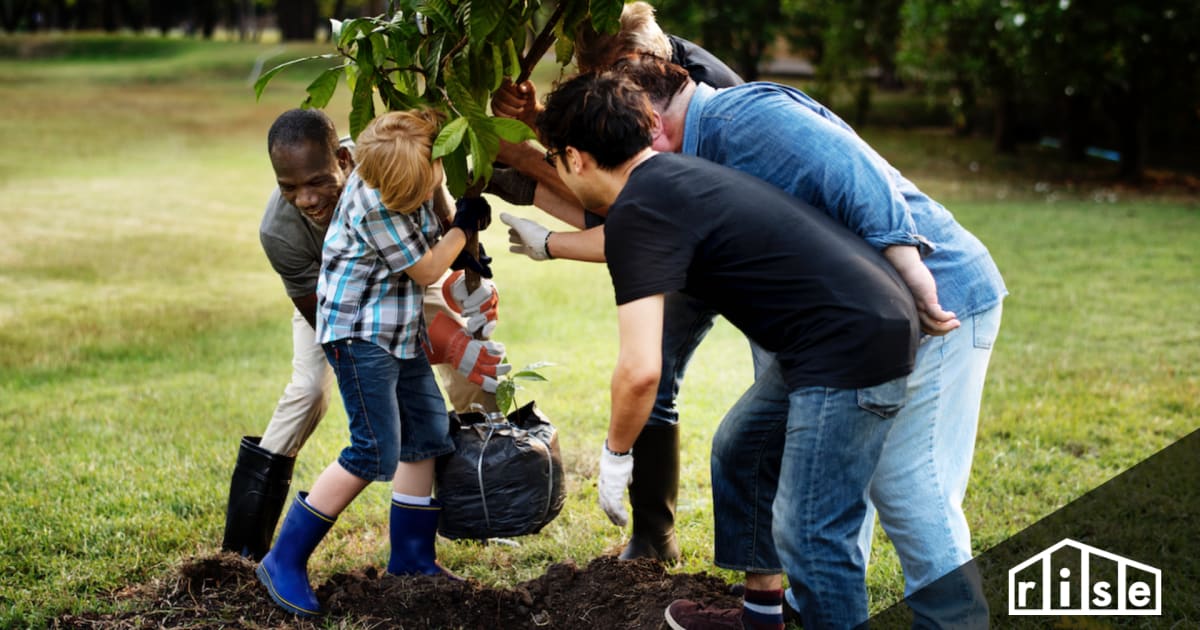 Shared Yard: What Are The Benefits?