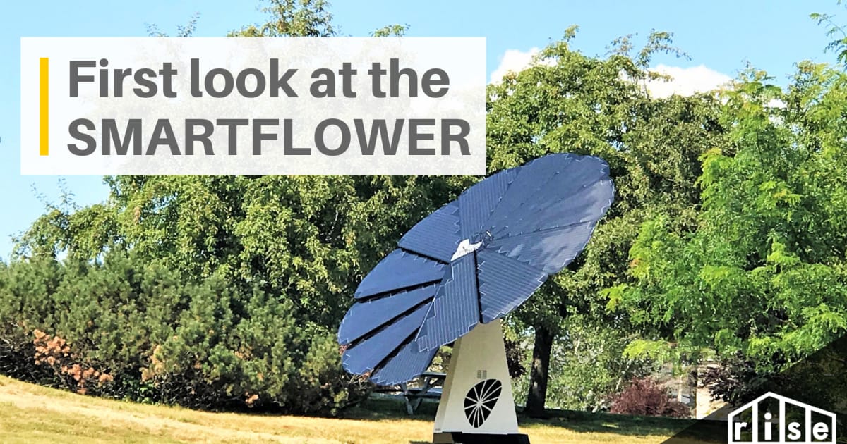 Solar Power Blossoms in your Garden