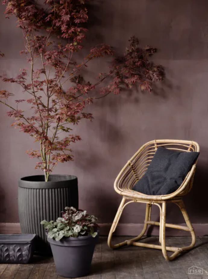 Lime-Based Paint: Add Color to your Home While Capturing Excess CO2