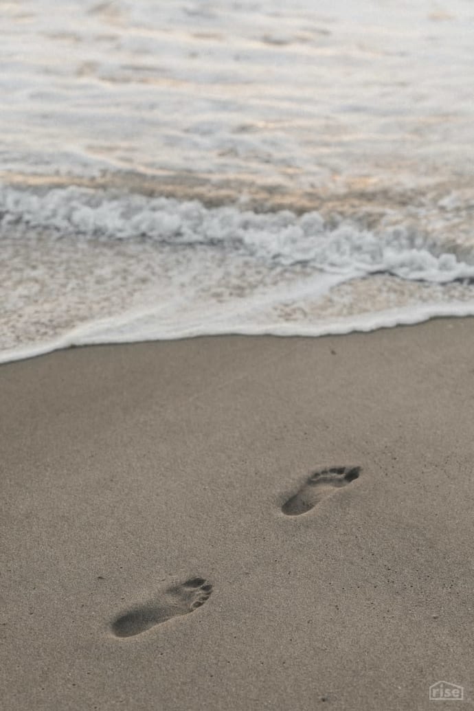 Understanding Your Ecological Footprint