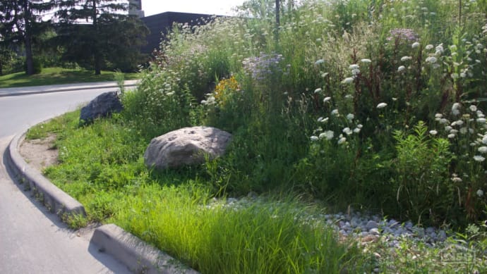 How to Prevent Earth Erosion