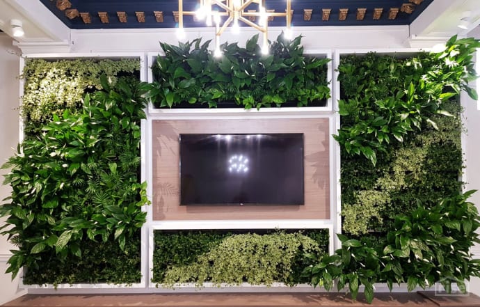 Living Walls at Home: The Complete Guide