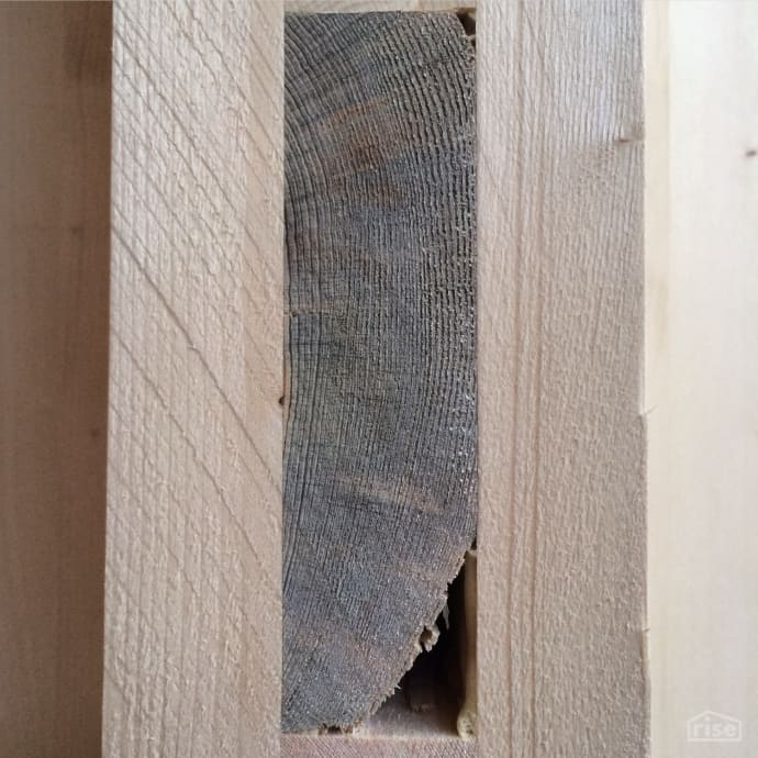 A Love Affair with Wood Inspires One of the US's First CLT Houses