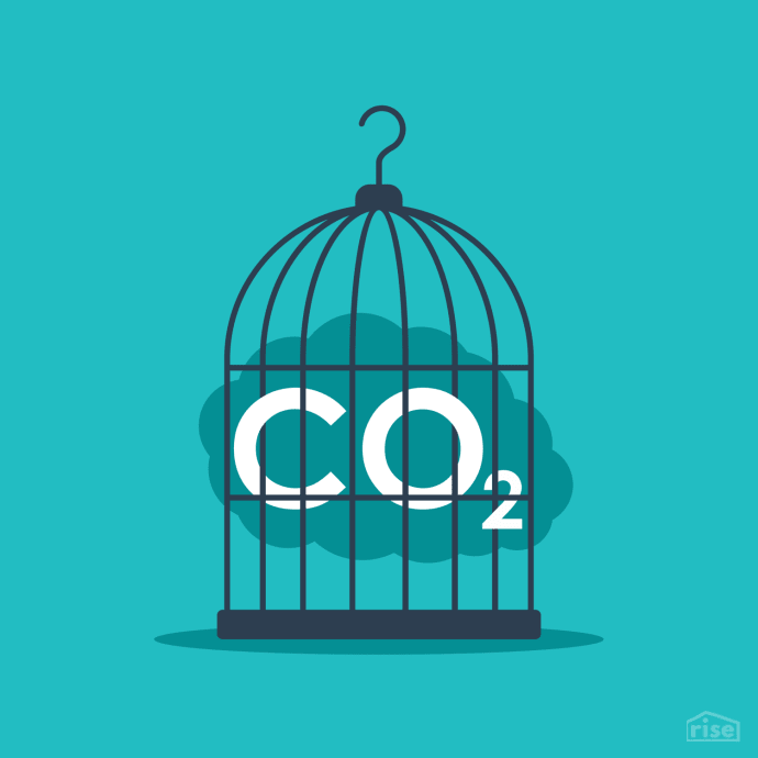 What You Can Do to Capture Carbon