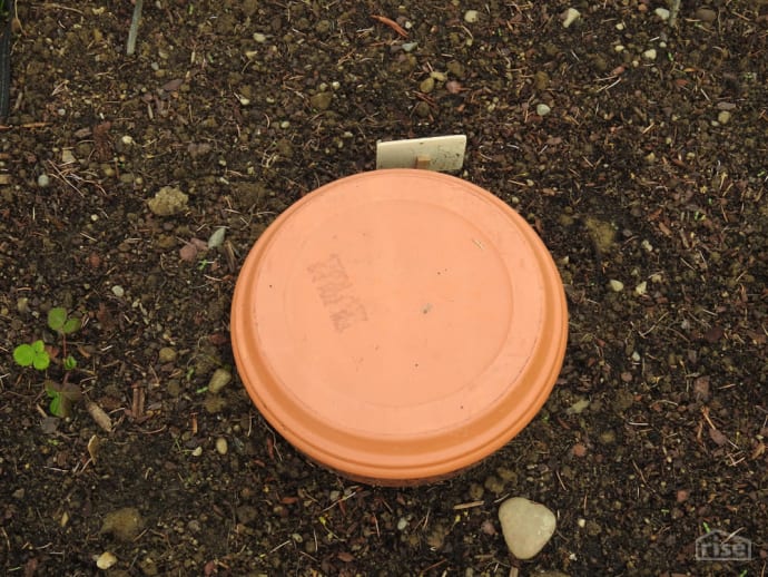 Ollas: Water Your Garden the Ancient Way