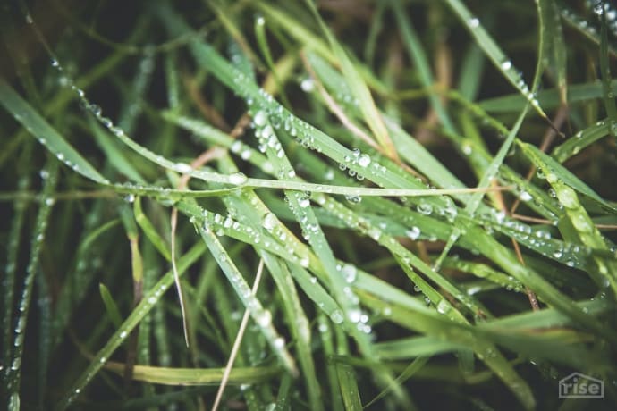 The Dew Point and Insulation