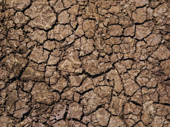 How to Make Use of Rainwater at Home with a Cistern