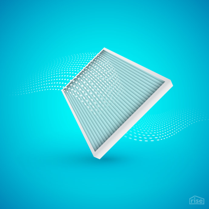 Mold Remediation: The Ultimate Guide