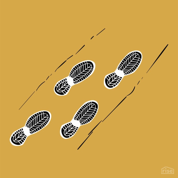 Understanding Your Ecological Footprint