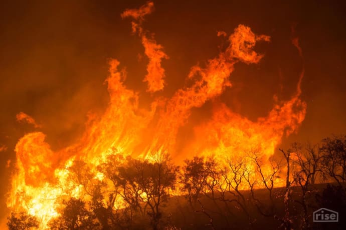 Firewise Offers a Framework for Community-Level Wildfire Preparedness