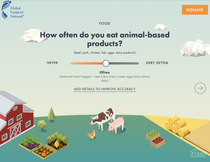 Understanding Your Ecological Footprint