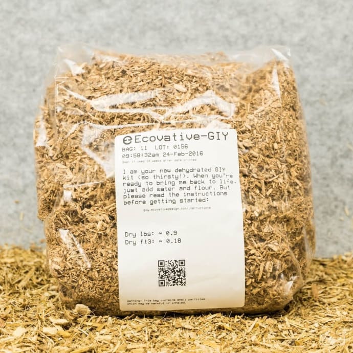 Mycelium Fungi as a Building Material