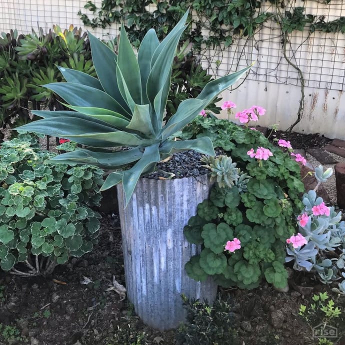 Upcycle to Create Unique Containers For Your Garden