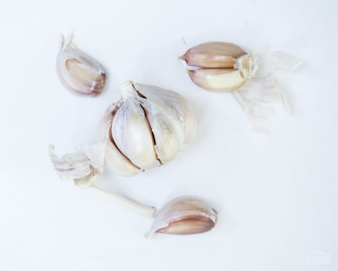 The Best Herbs and Plants to Boost Your Immune System