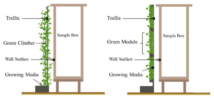 Benefits of Green Facades for Your Home