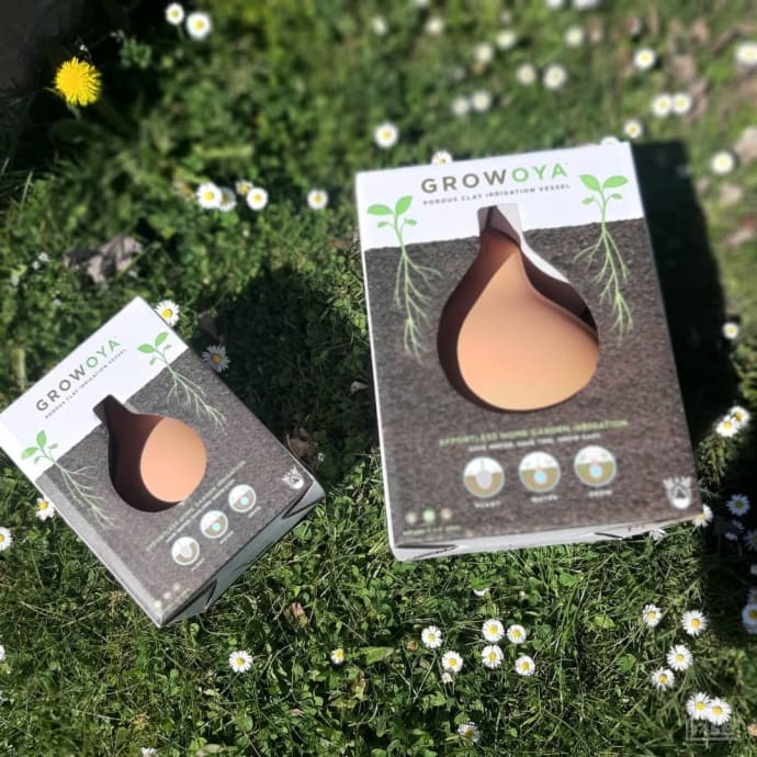 Ollas: Water Your Garden the Ancient Way