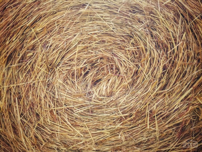 Building With Straw Bales: A Comprehensive Guide