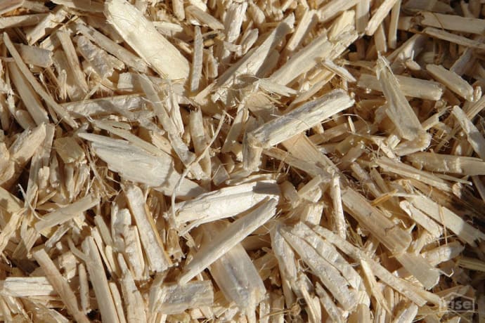 Building with Hempcrete