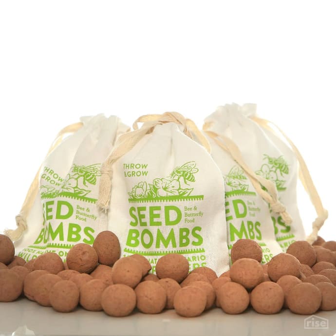 Seed Balls: A DIY Guide