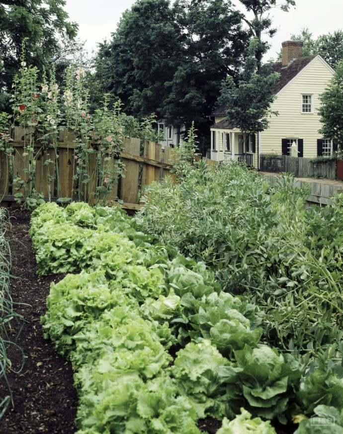 How Your Home Can Generate Income