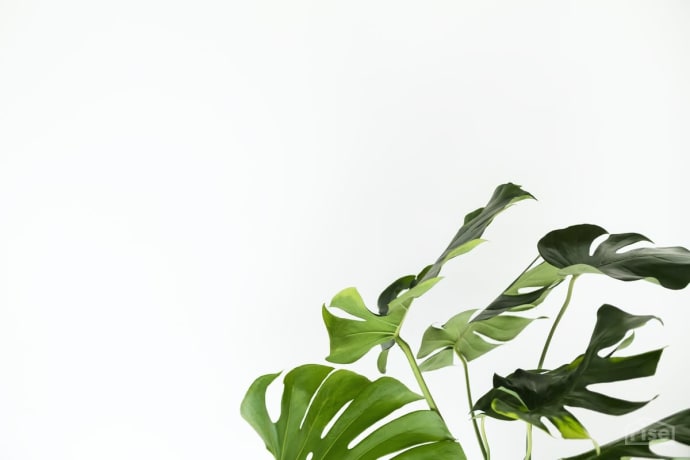 RESET Air Certification