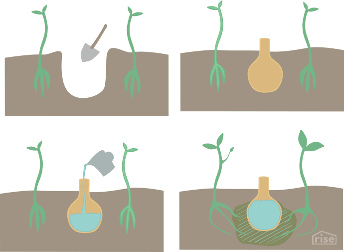 Ollas: Water Your Garden the Ancient Way