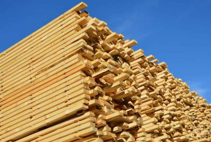 What You Can Do to Capture Carbon