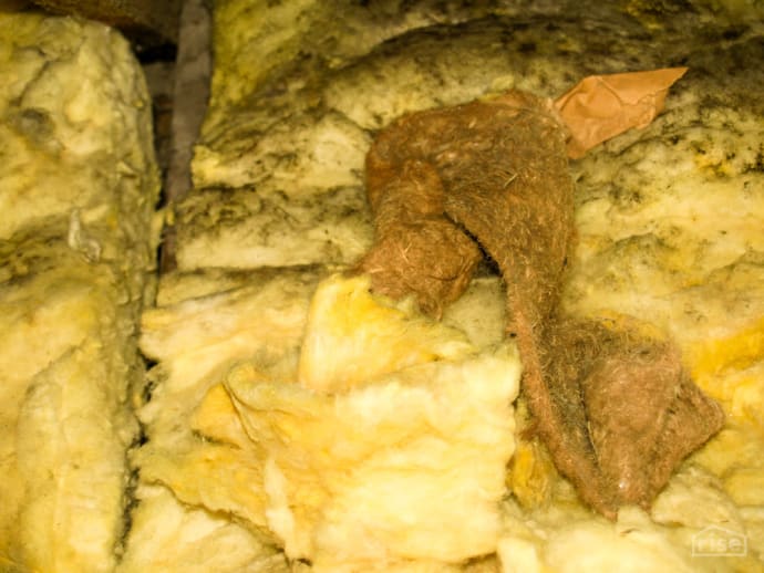 The Dew Point and Insulation