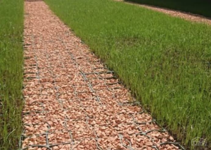 Flood-Ready Homes: How To Prepare