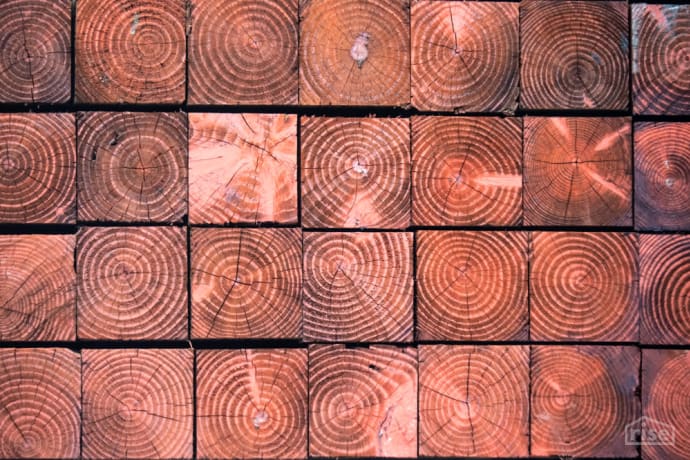 Carbon Based Pressure Treated Wood