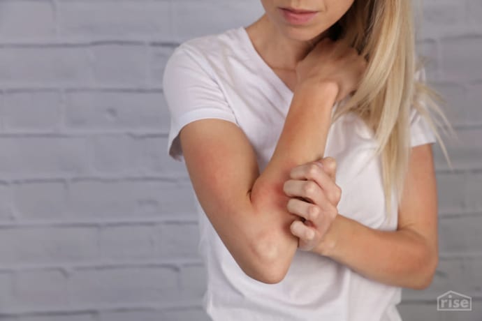 Fiberglass Insulation: A Complete Guide